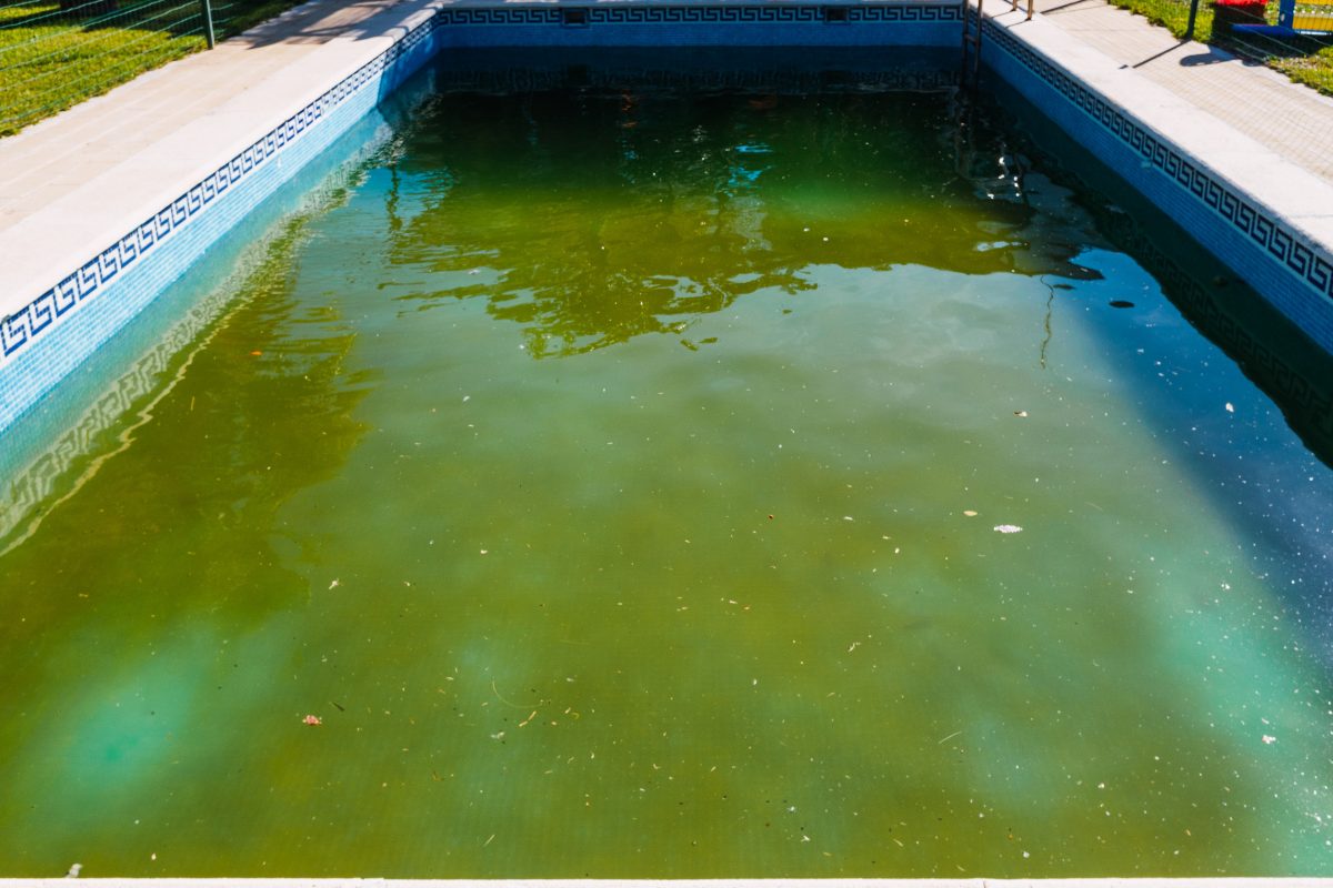 How to Get Rid of Pool Algae Fast & Effectively • PoolTile.ca